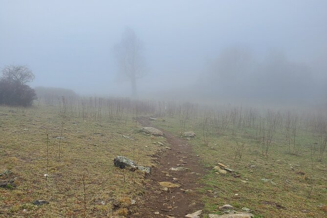 Privately Guided Full Day Hike - The Practicalities