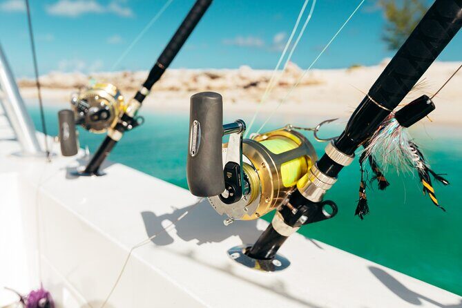 Pro Series Full Day Deep Sea Fishing on Angler Management - Setting the Scene: What to Expect