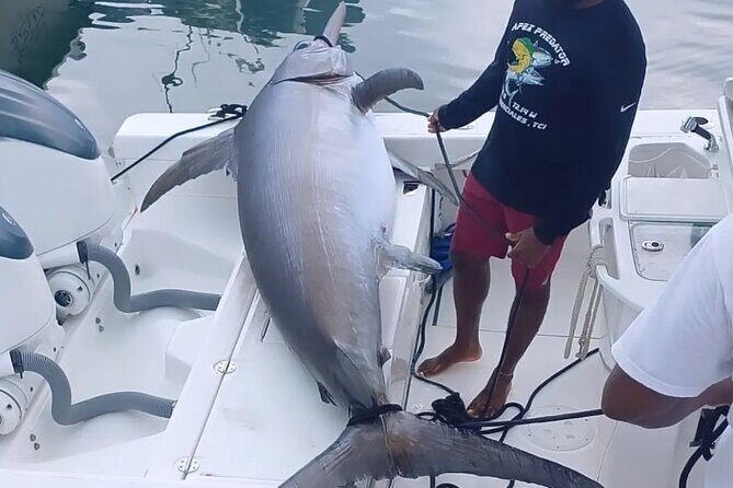 Pro Series Full Day Deep Sea Fishing with Wahooters - The First Stops: Reefs and Shark Alley