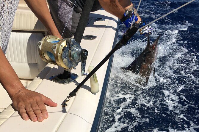 Pro Series Full Day Deep Sea Fishing with Wahooters - Analyzing the Value