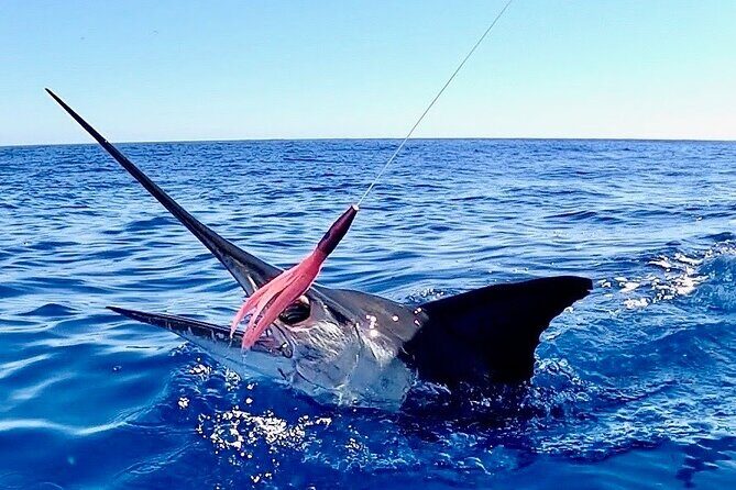 Pro Series Full Day Deep Sea Fishing with Wahooters - In Summary