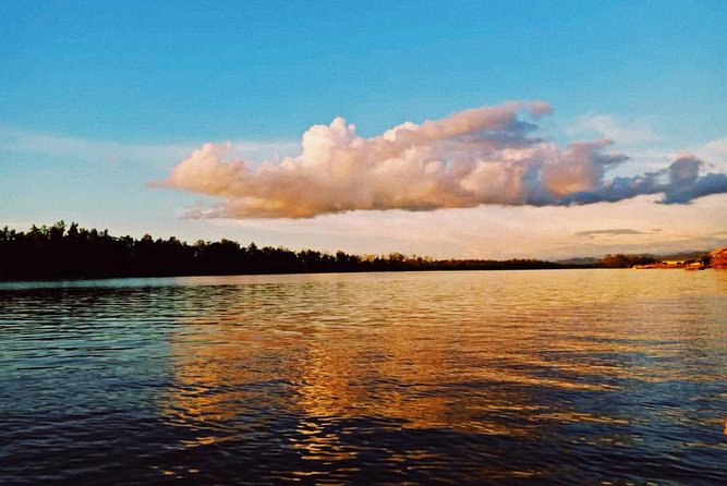 Proboscis Monkey and Fireflies River Cruise - A Closer Look at the Itinerary