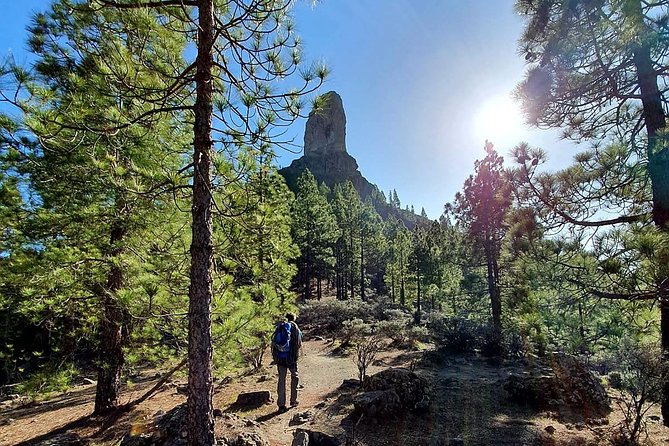 Professional climbing guide - Final Thoughts