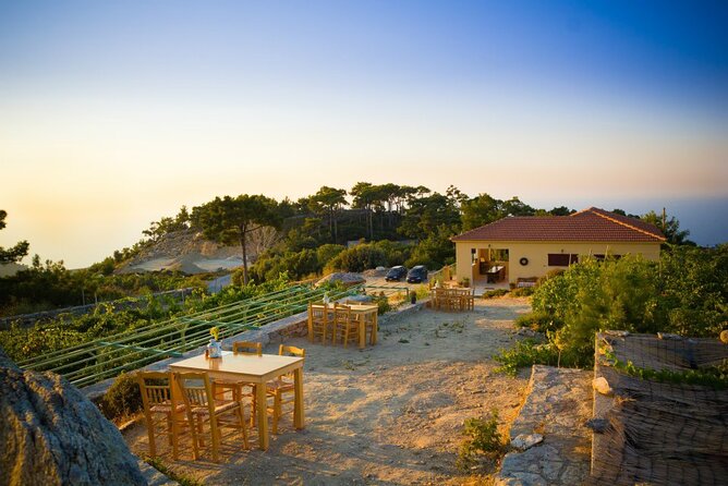 Professional Tour with Winemaker in Ikaria - Who Would Love This Tour?