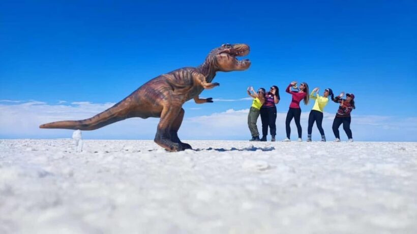 PROGRAM 3 DAYS 2 NIGHTS UYUNI  SAN PEDRO DE ATACAMA SHARED - Who Should Consider This Tour?