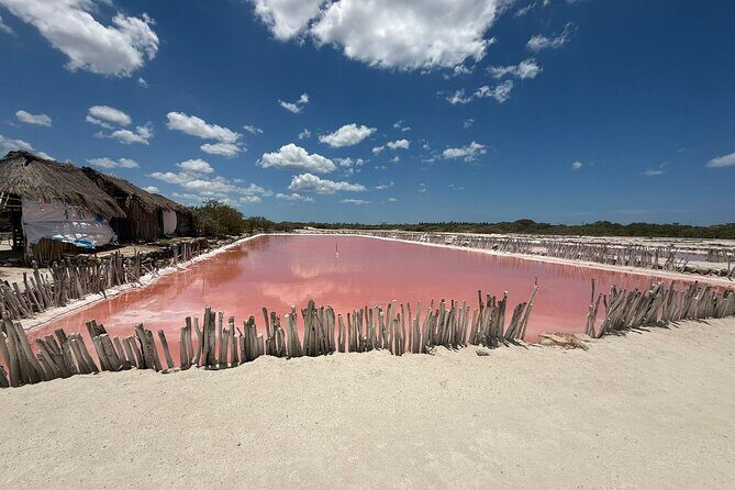 Progreso, Flamingos, Cenote, and Salt Ponds adventure from Merida - Who Would Enjoy This Tour?