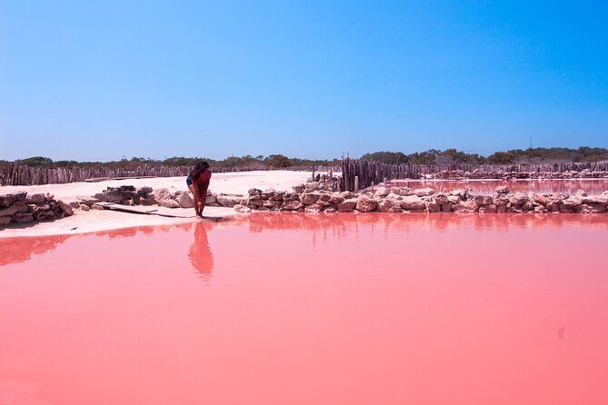 Progreso, Flamingos, Cenote, and Salt Ponds adventure from Merida - FAQ