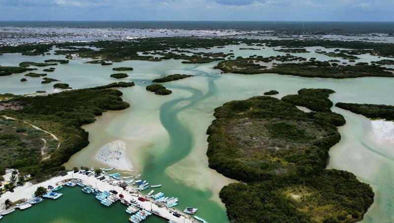 Progreso: Isla Columpios and Pig Beach Club Day Pass - An In-Depth Look at the Tour Experience