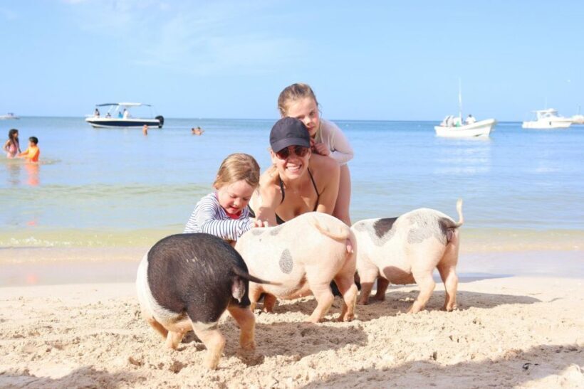 Progreso: Isla Columpios and Pig Beach Club Day Pass - Final Thoughts