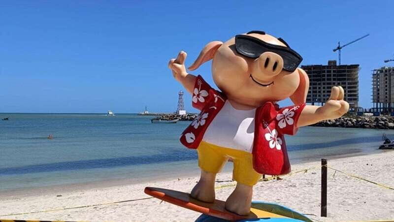 Progreso: Isla Columpios and Pig Beach Club Day Pass - FAQ