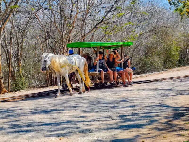 Progress: Excursion to the Santa Barbara Homun cenotes - An Introduction to the Cenotes of Yucatan