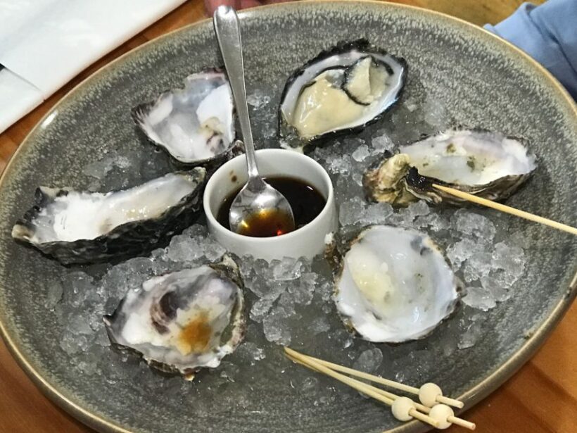 Progressive Wine & Gourmet Trail from Blenheim or Picton - Key Points