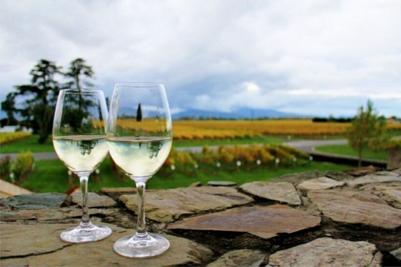 Progressive Wine & Gourmet Trail from Blenheim or Picton - Authentic Experiences and Practical Tips