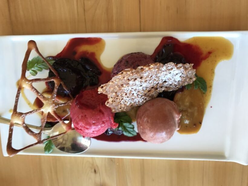 Progressive Wine & Gourmet Trail from Blenheim or Picton - Who Will Love This Tour?