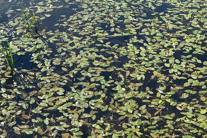 Prokoko Lake: A Day Tour to the Forgotten Village from Sarajevo - Authentic Experiences and Authentic Insights