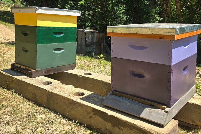 Promise Land Bee Farm Private Tour in Charleston - The Experience in Detail
