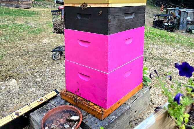 Promise Land Bee Farm Private Tour in Charleston - Final Thoughts on Value and Suitability