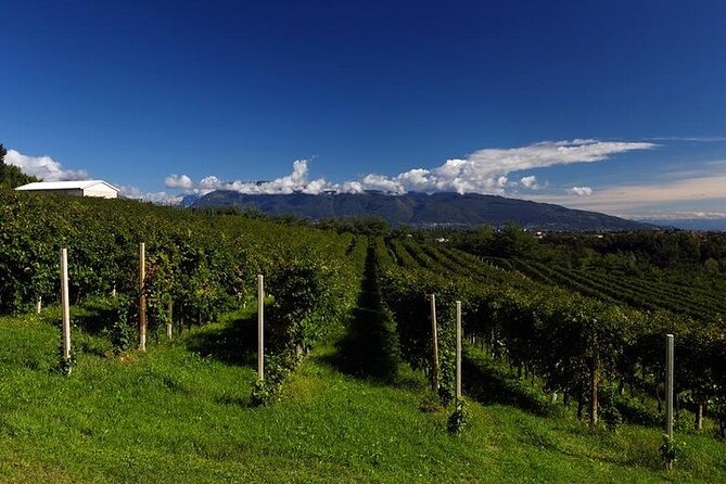 Prosecco Experience. Wine Tasting. Full Day From Treviso - Insights Into the Scenic Villages and Vineyards