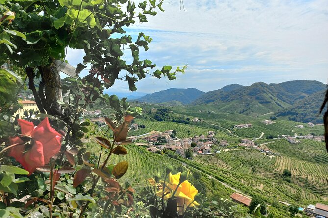 Prosecco Hills Wine and Food Tour From Venice and Treviso - Guided Winery Tour and Tastings
