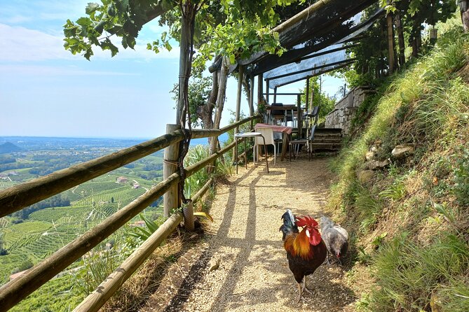 Prosecco Hills Wine and Food Tour From Venice and Treviso - Lunch at a Local Restaurant