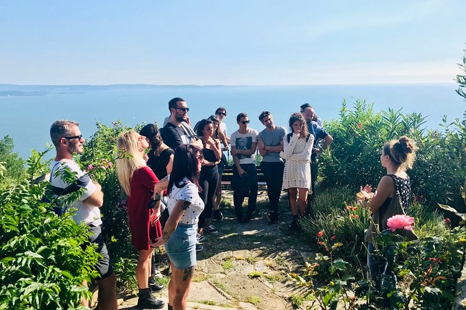 Prosecco Origins Wine Experience - Tasting the Essence of Prosecco: A Guided Wine Experience