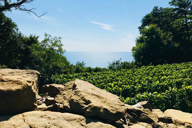 Prosecco Origins Wine Experience - Savoring the Flavors of Local Cuisine