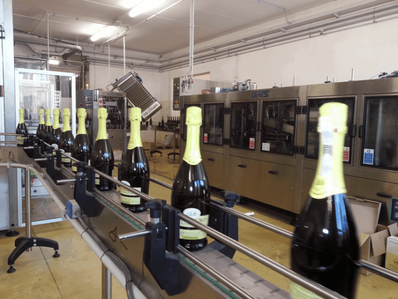 Prosecco Tasting in Countryside Winery - Final Thoughts