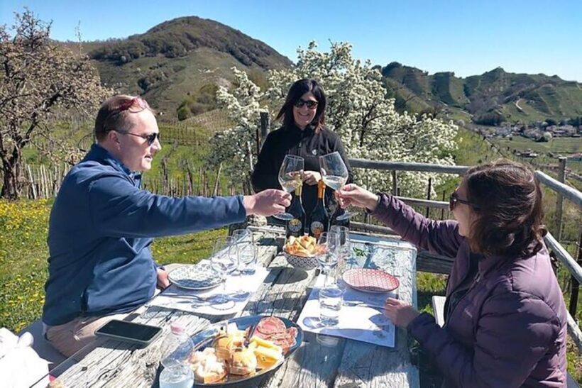 Prosecco Wine Tasting Tour. Half Day. From Venice - Who Should Consider This Tour?