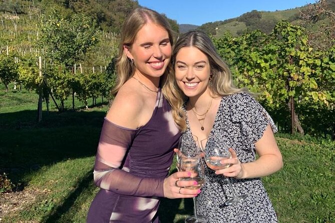 Prosecco Wine Tour. Half-day. From Venice - Traveler Experiences and Reviews