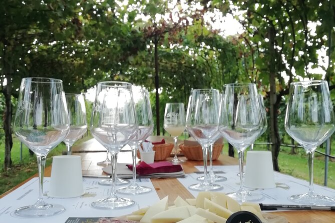 Prosecco - Wine Tour & Tasting - Full Day in the Prosecco Region - Traveler Reviews and Feedback