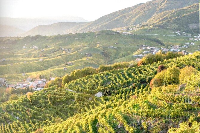 Prosecco - Wine Tour & Tasting - Full Day in the Prosecco Region - Cancellation Policy