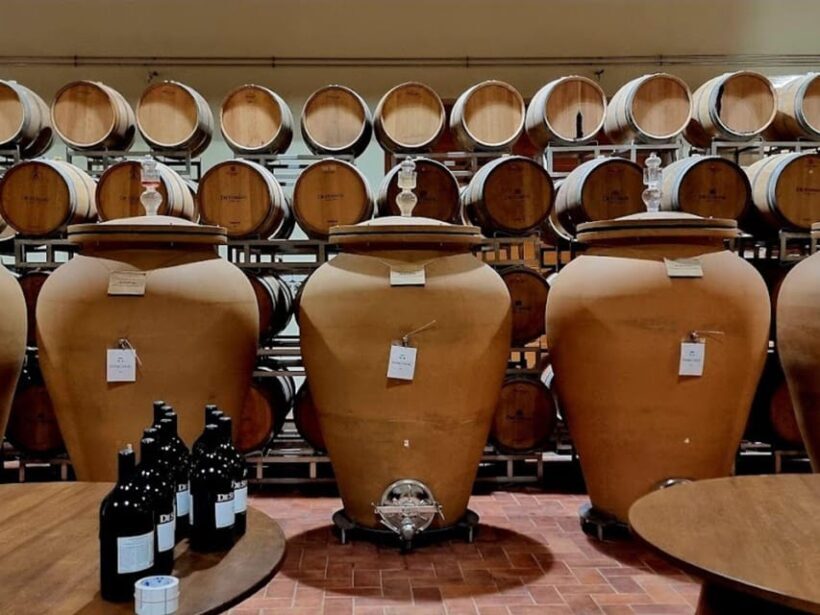 Prosecco Winery Tasting with Food Pairing near Venice - Introduction