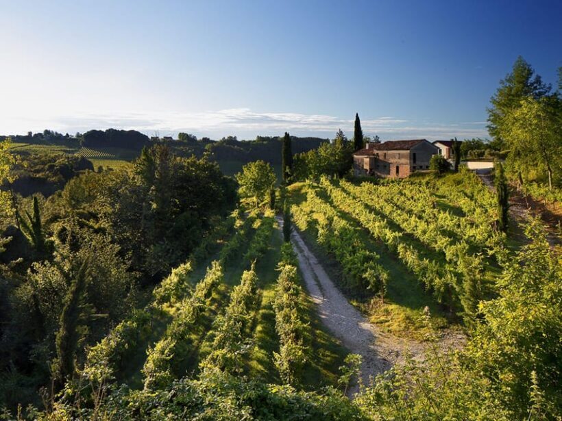 Prosecco Winery Tasting with Food Pairing near Venice - Who It’s Best For