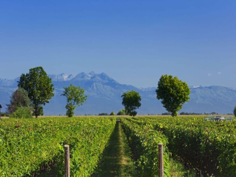 Prosecco Winery Tasting with Food Pairing near Venice - Final Thoughts