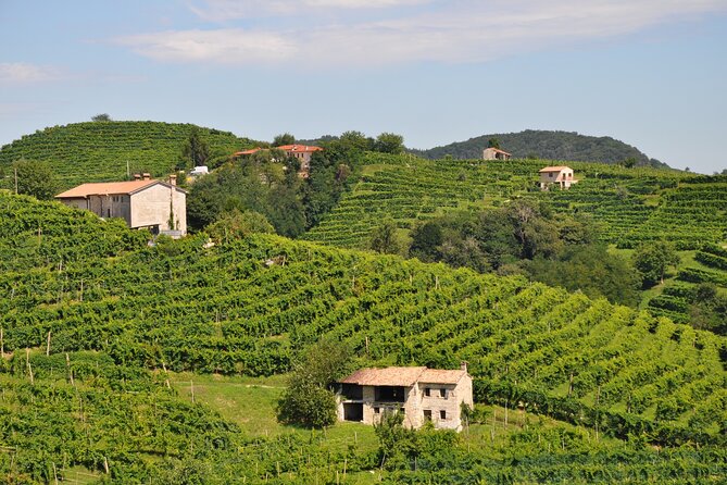 Proseccos Roots & the Karst Region from Trieste - Practical Tips for Travelers