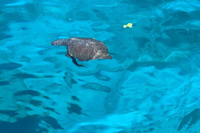 Protaras: 16+ ADULTS - LUXURY YACHT - Cypriot Lunch & 1 Drink - Inclusions and Amenities