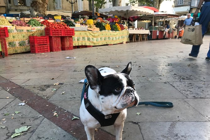 Provençal Farmers Market Tour - Practical Information