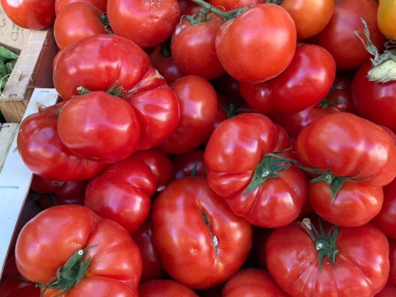 Provencal Market Walking Tour with Tastings - Why this Tour Works Well for Travelers