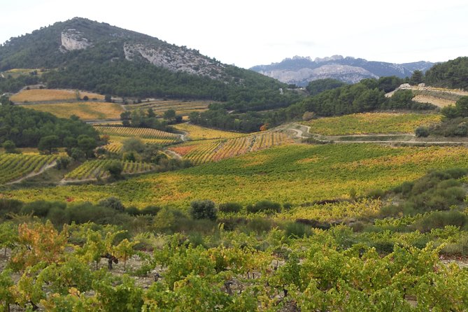 Provence Cru Wine Small-Group Half-Day Tour from Avignon - Who Will Love This Tour?
