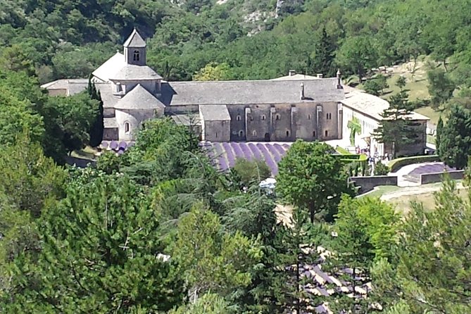 Provence Highlights Full-Day Tour from Avignon - Transportation, Timing, and Practicalities