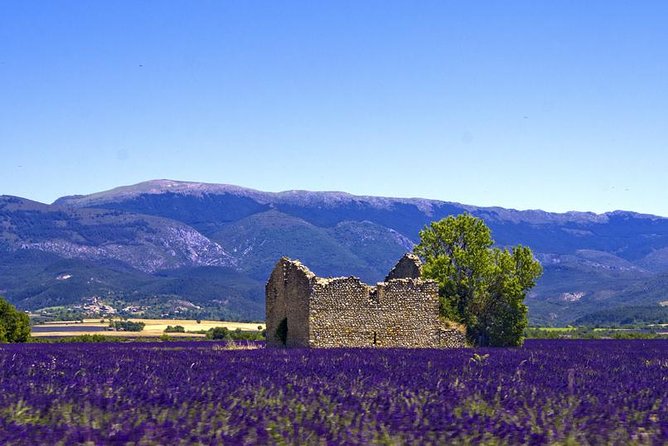 Provence Lavender Fields Tour from Aix-en-Provence - Transportation and Group Size