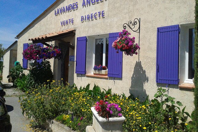 Provence Lavender Fields Tour from Aix-en-Provence - Practical Considerations