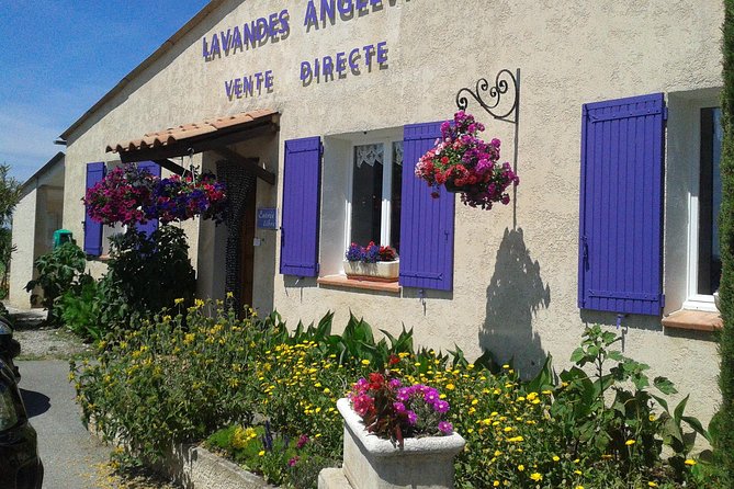 Provence Lavender Fields Tour in Valensole From Marseille - Inclusions and Exclusions of the Tour