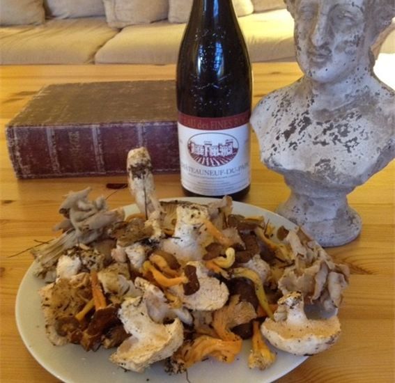 Provence: Mushroom Hunting with Outdoor Breakfast - Who Will Love This Experience?