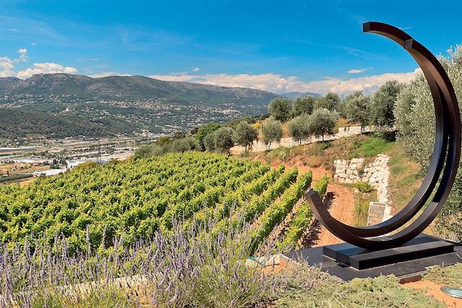 Provence Organic Wine Tour Review: A Delightful Experience - Inclusions and Exclusions
