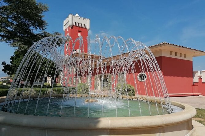 Provence Organic Wine Tour Review: A Delightful Experience - Traveler Reviews and Feedback