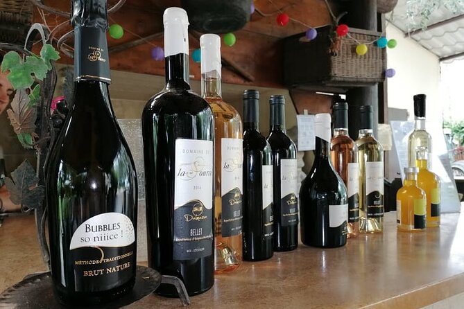 Provence Organic Wine Tour Review: A Delightful Experience - The Tasteful Journey Through Provence