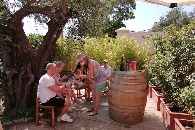 Provence Organic Wine Tour Review: A Delightful Experience - Indulging in the Local Culinary Delights