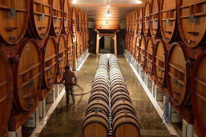 Provence Private Full Day Wine Tour with Wine Tasting - What’s Not Included and What to Consider