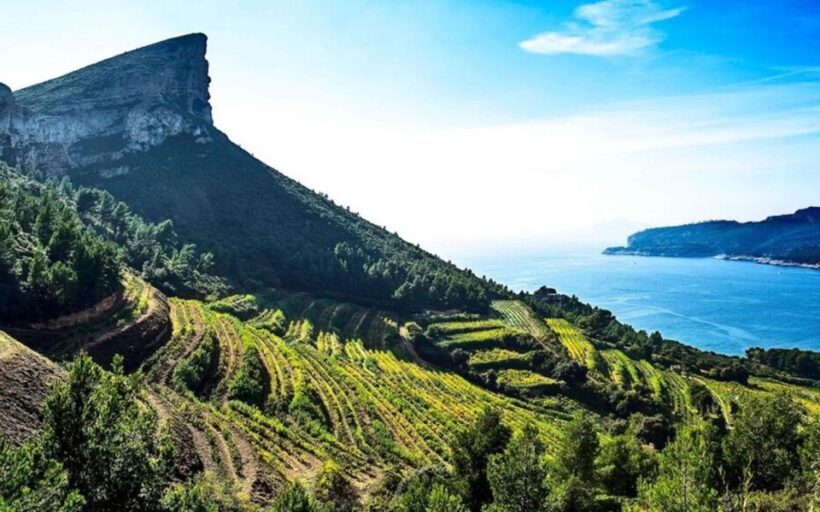 Provence private tour: Aix-en-Provence, (Marseille) & Cassis - An Introduction to the Tour Experience